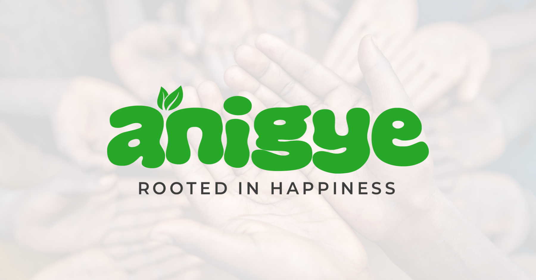 Home - Anigye Foundation